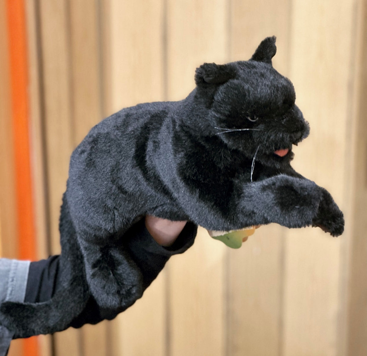 Black Cat Douglas Folkmanis Puppet – Glow Fish Studios
