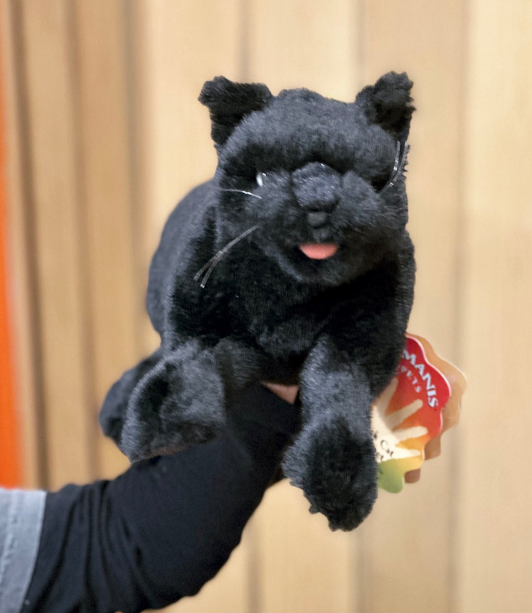 Black Cat Douglas Folkmanis Puppet – Glow Fish Studios