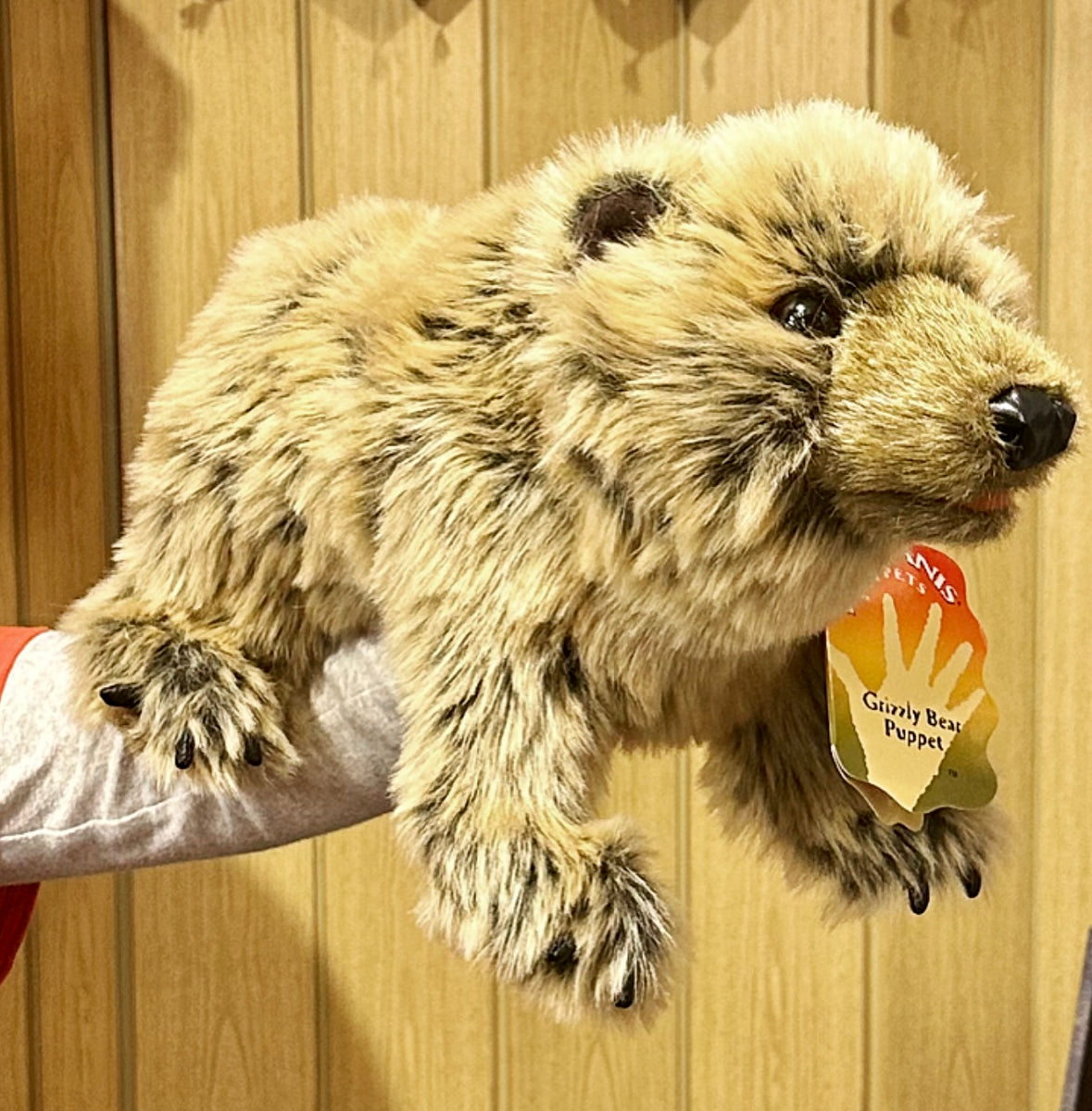 Grizzly Bear Hand Folkmanis Puppet – Glow Fish Studios